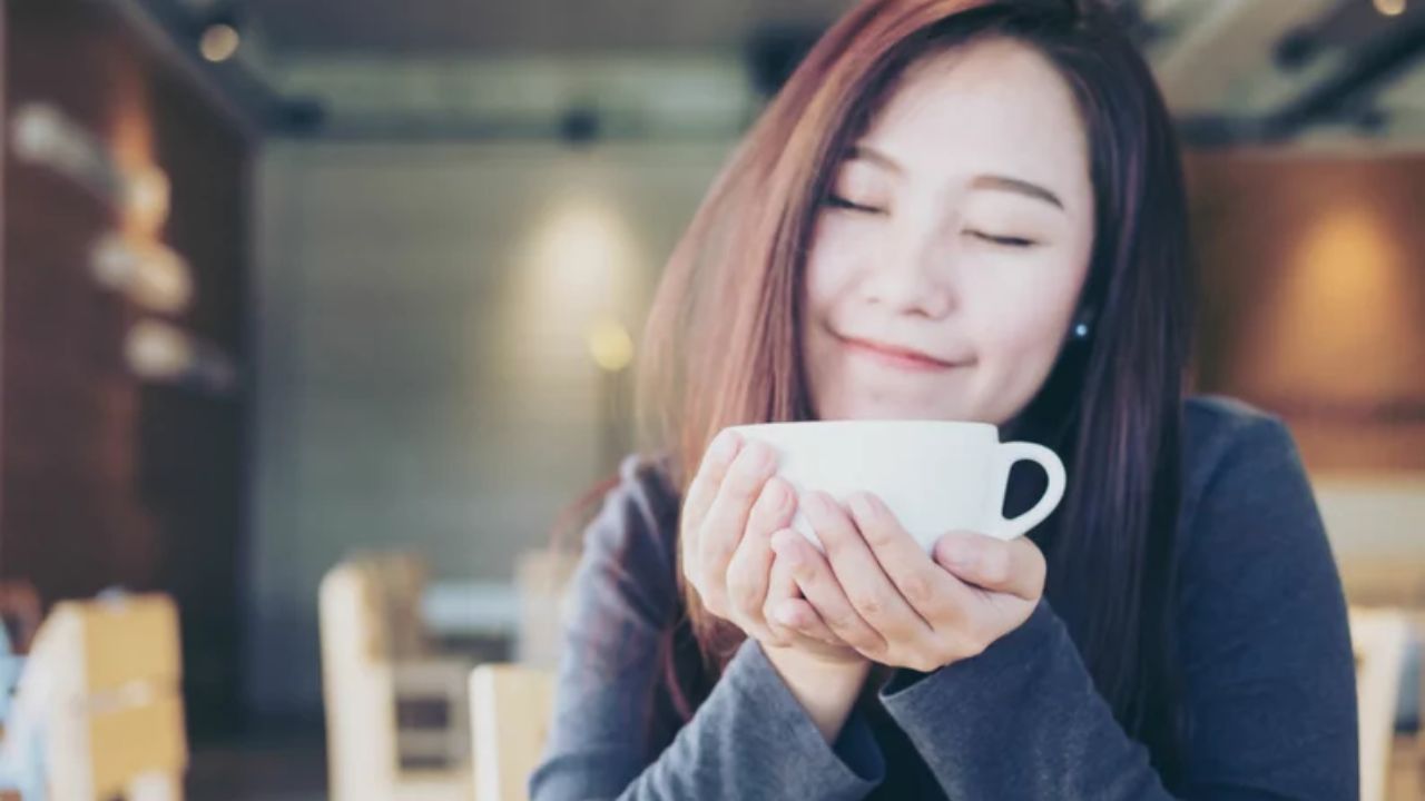 Sentido Que Permite Sentir Cheiro - FDPLEARN