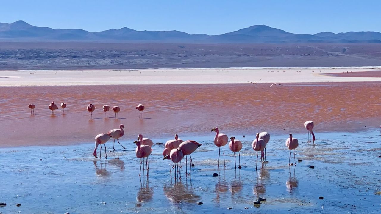 Salar de Uyuni: o maior deserto de sal do mundo - Escola de Lucifer