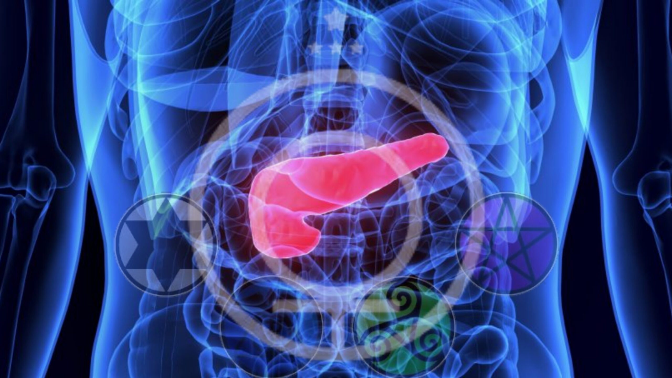 O Pâncreas - Escola de Lucifer