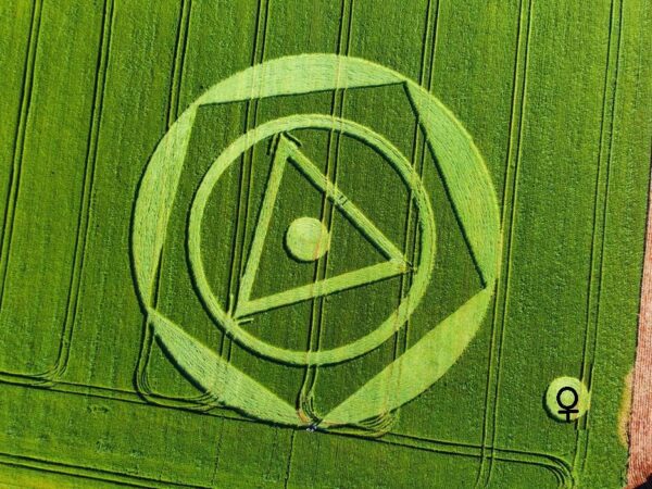 Agroglifos: O que diz a ciência sobre os desenhos que aparecem em ...