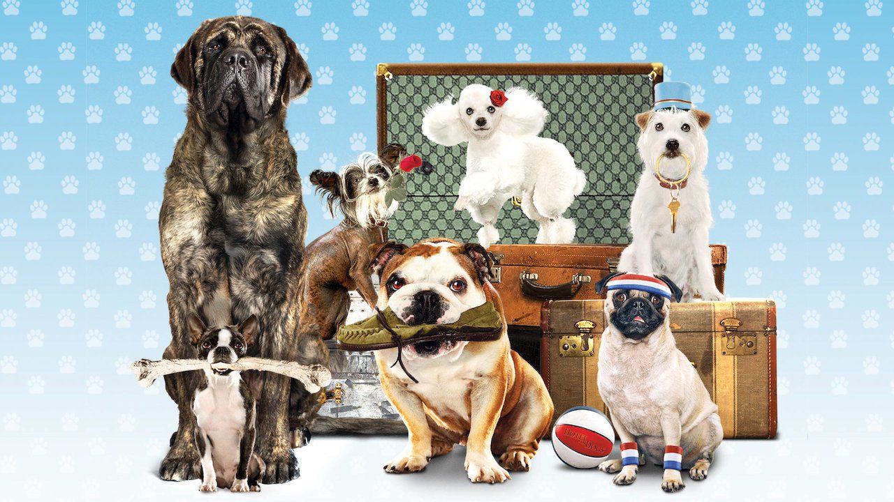 8 filmes de cachorros para quem gosta do gênero - Escola de Lucifer