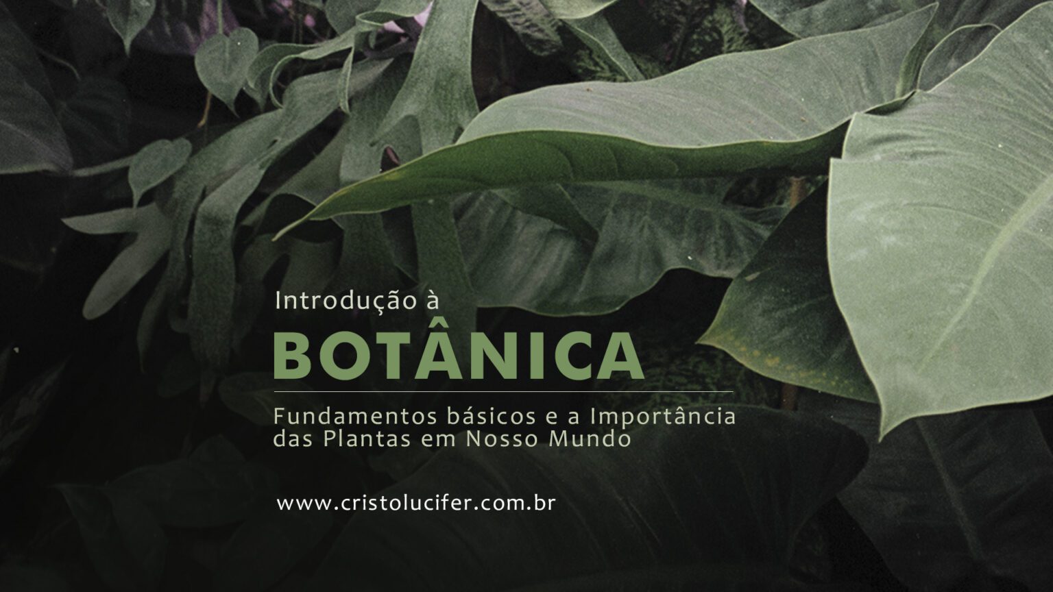 Introdução à Botânica: Conhecendo a Ciência das Plantas - Escola de Lucifer