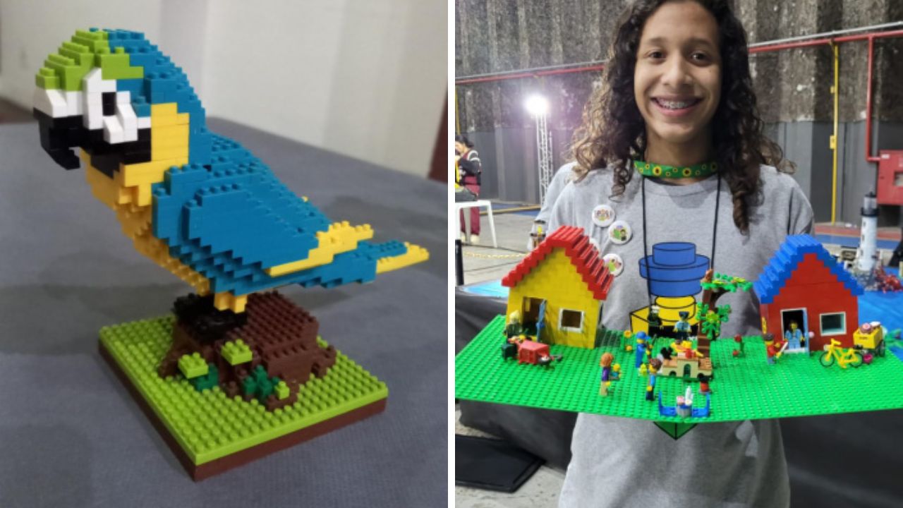 Menino autista brasileiro expõe obras incríveis feitas com Lego no ES ...