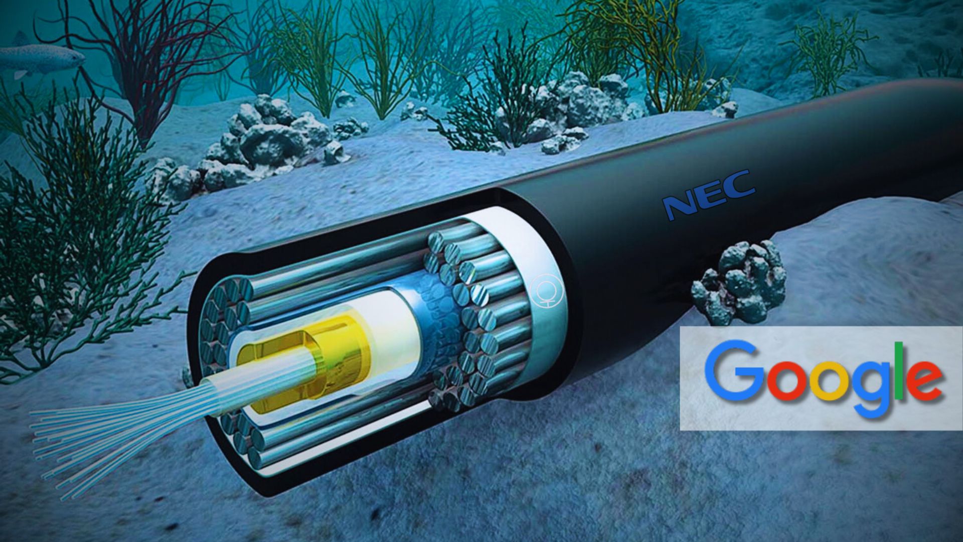Google e NEC: o acordo para cabos submarinos com fibra multi-core ...
