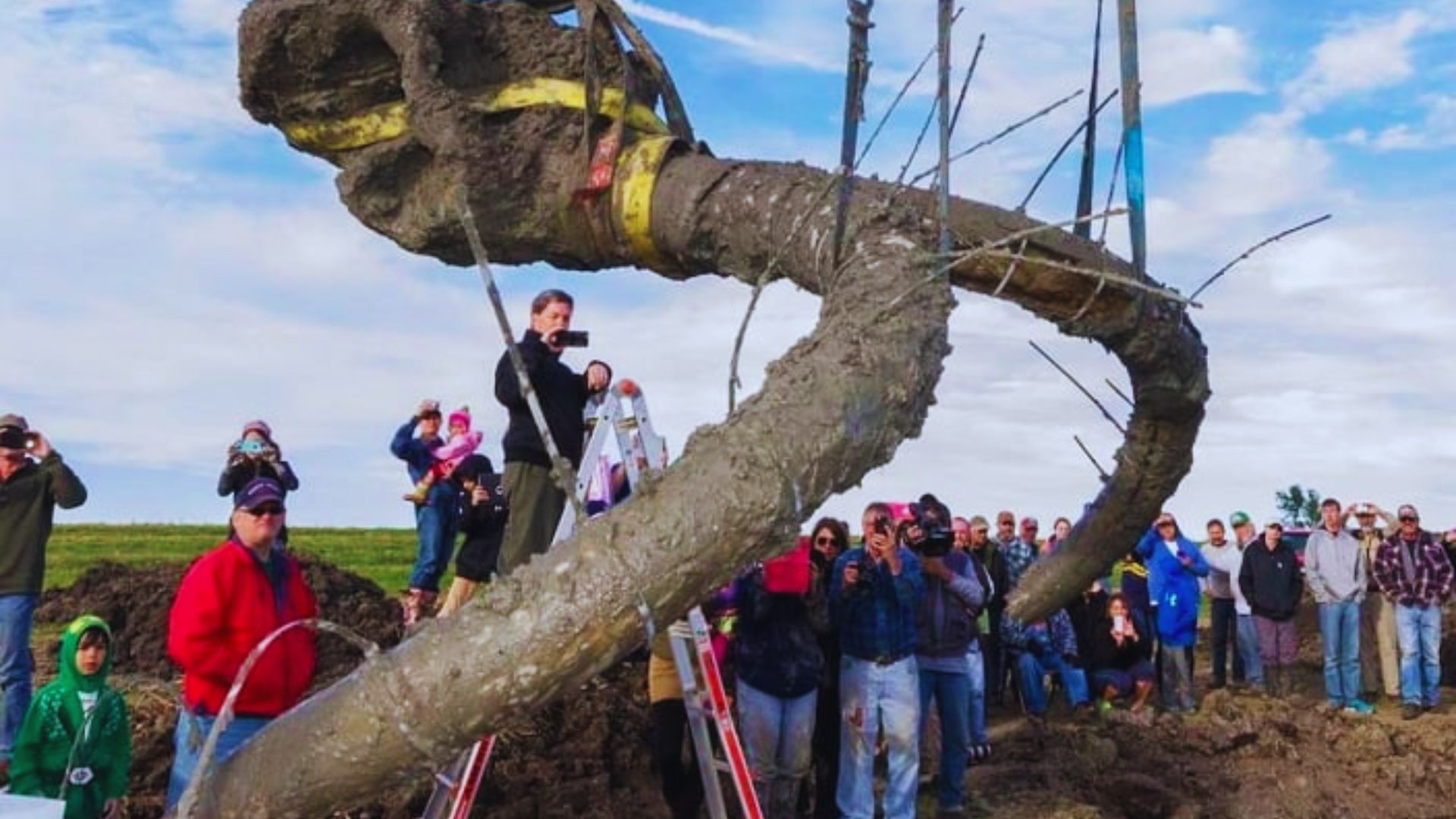 Agricultores acham fóssil de mamute de 15 mil anos - Escola de Lucifer