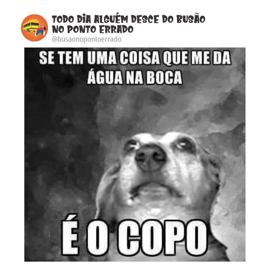 Rui e Farinazzo: Fim da amizade? Musk vs Moraes, Cris e Greg, 3 corpos ...