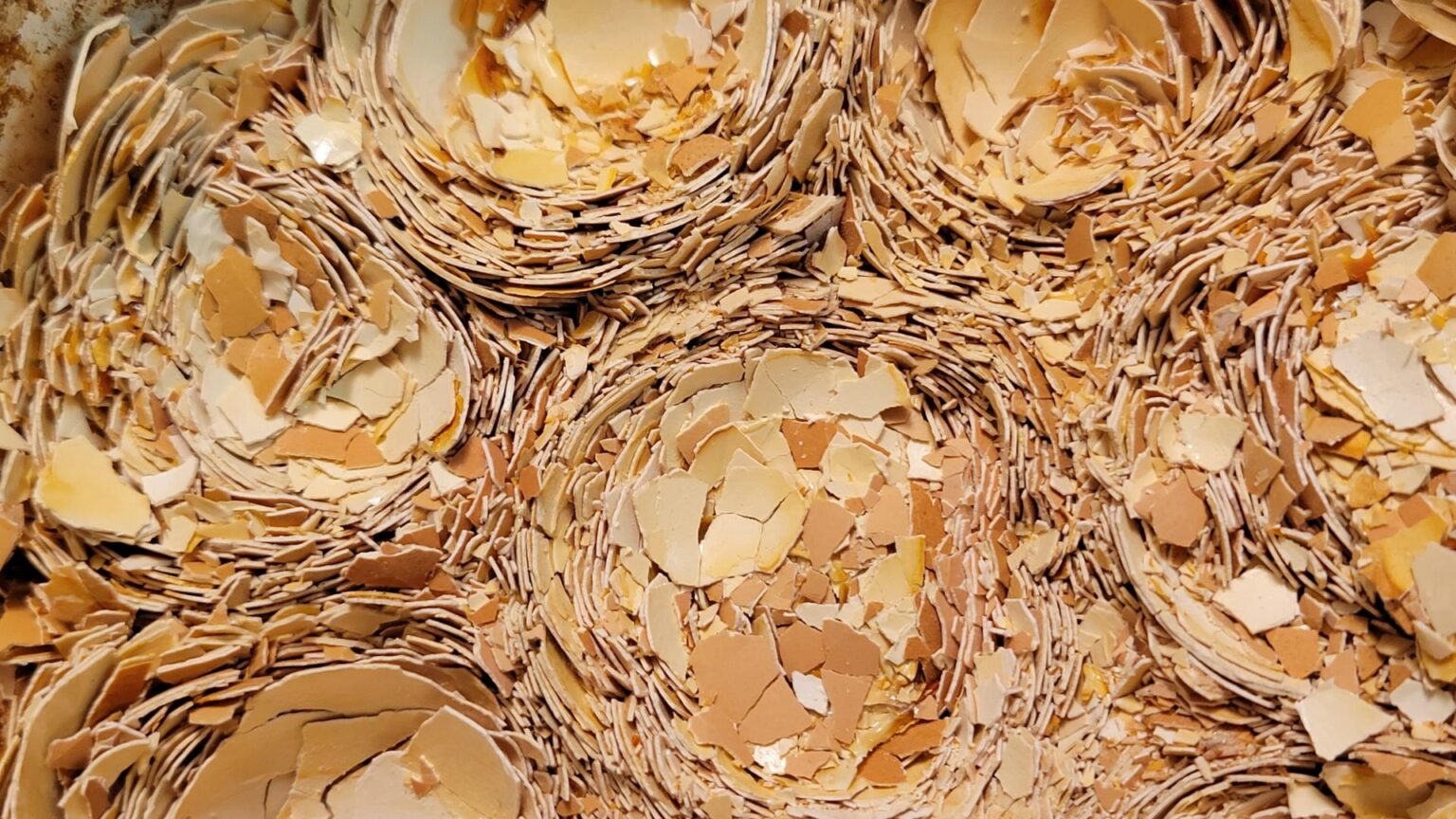 Bob Navarro - Escola de Lucifer