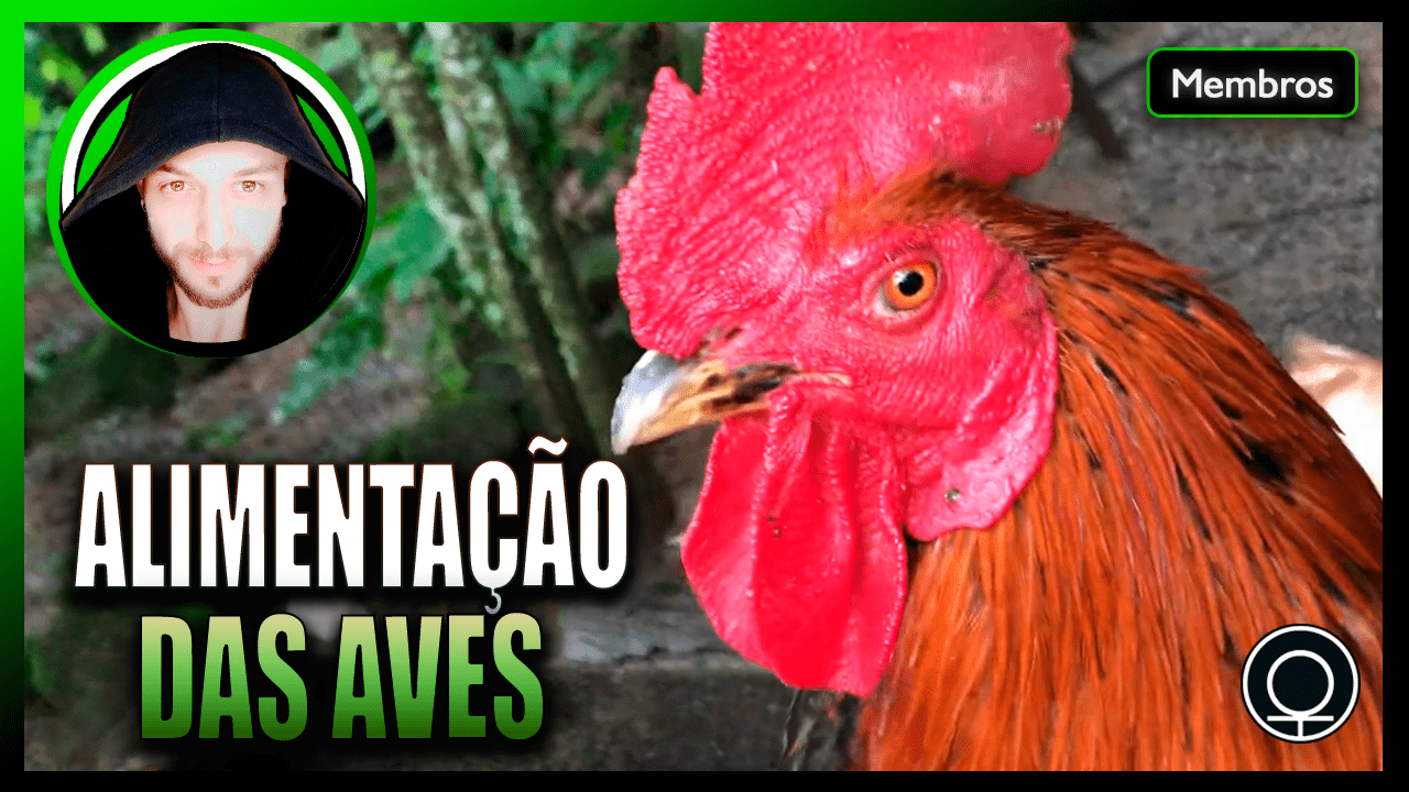 Bob Navarro - Escola de Lucifer