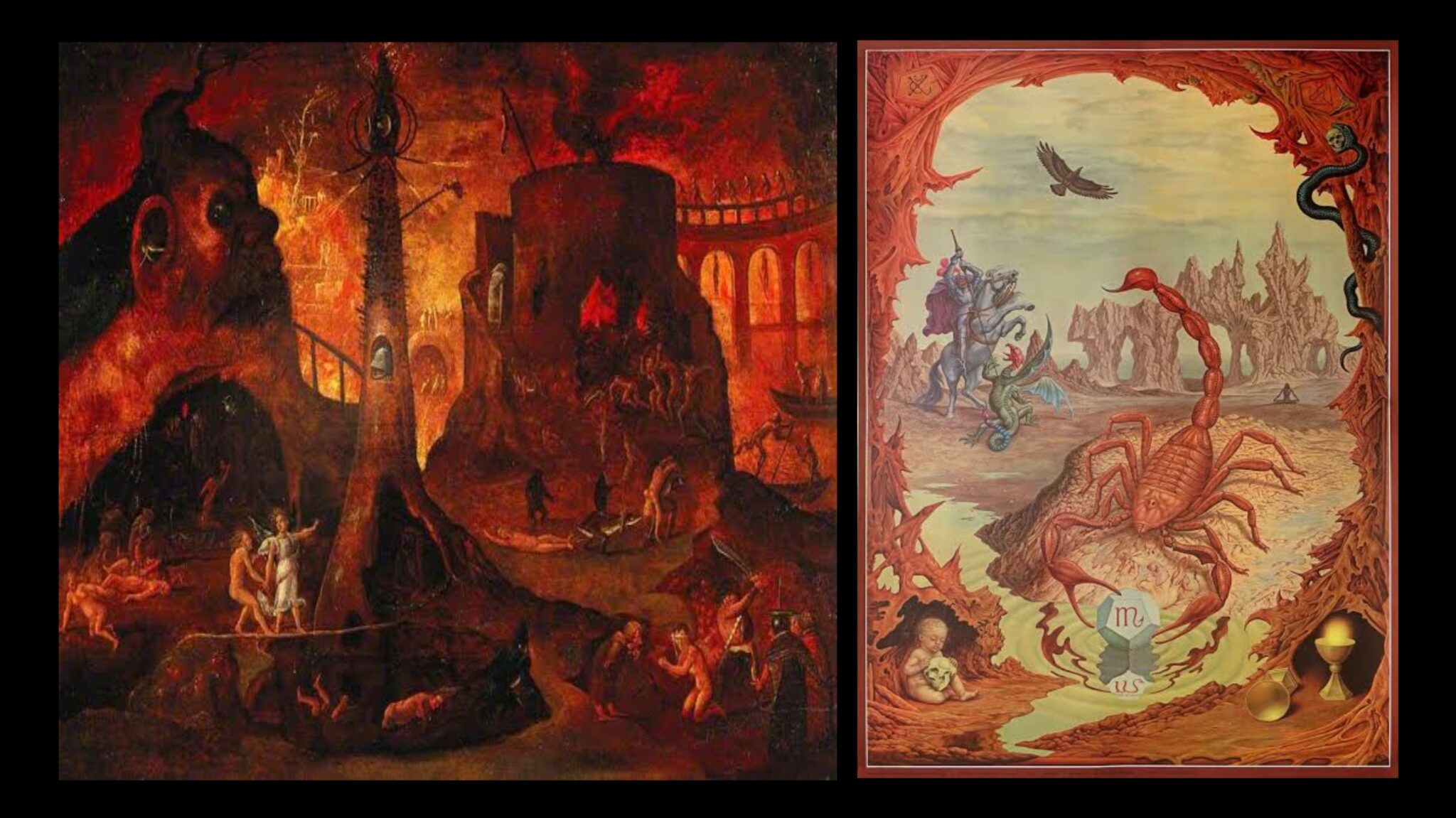 Lesmas: o que são, como vivem e como se reproduzem - Escola de Lucifer