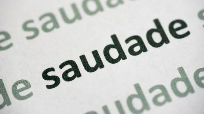 A língua portuguesa possui palavras que carregam significados tão ...